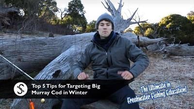 Top 5 Tips for Targeting Big Murray Cod in Winter – Social Fishing